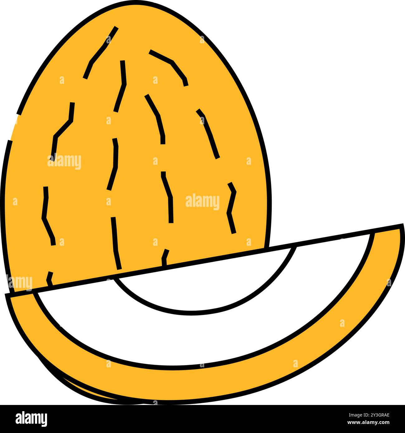 melon fruit icon color illustration Stock Vector Image & Art - Alamy