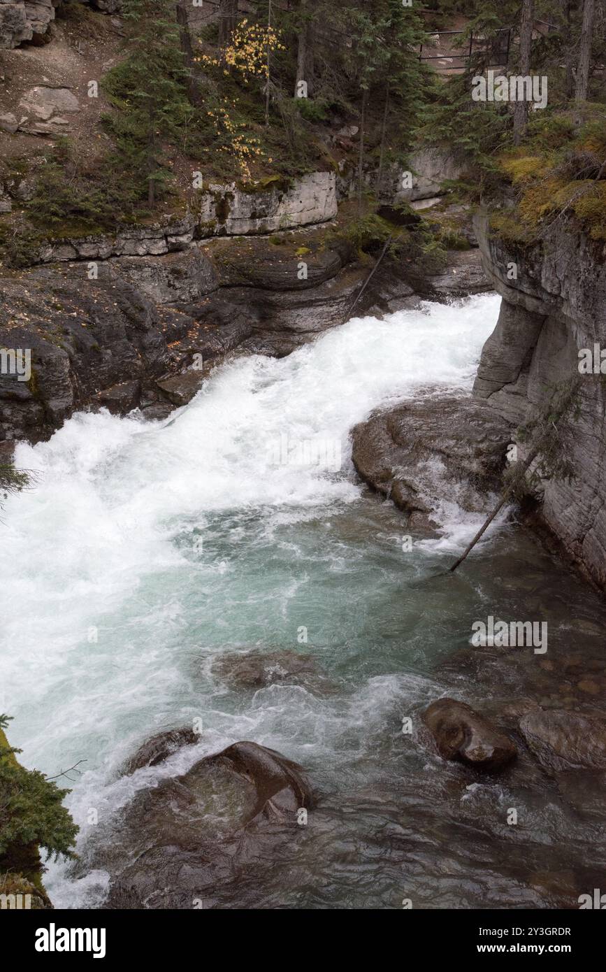 Maligne Canyon is a pitoresque gorge of the Maligne River in Jasper ...