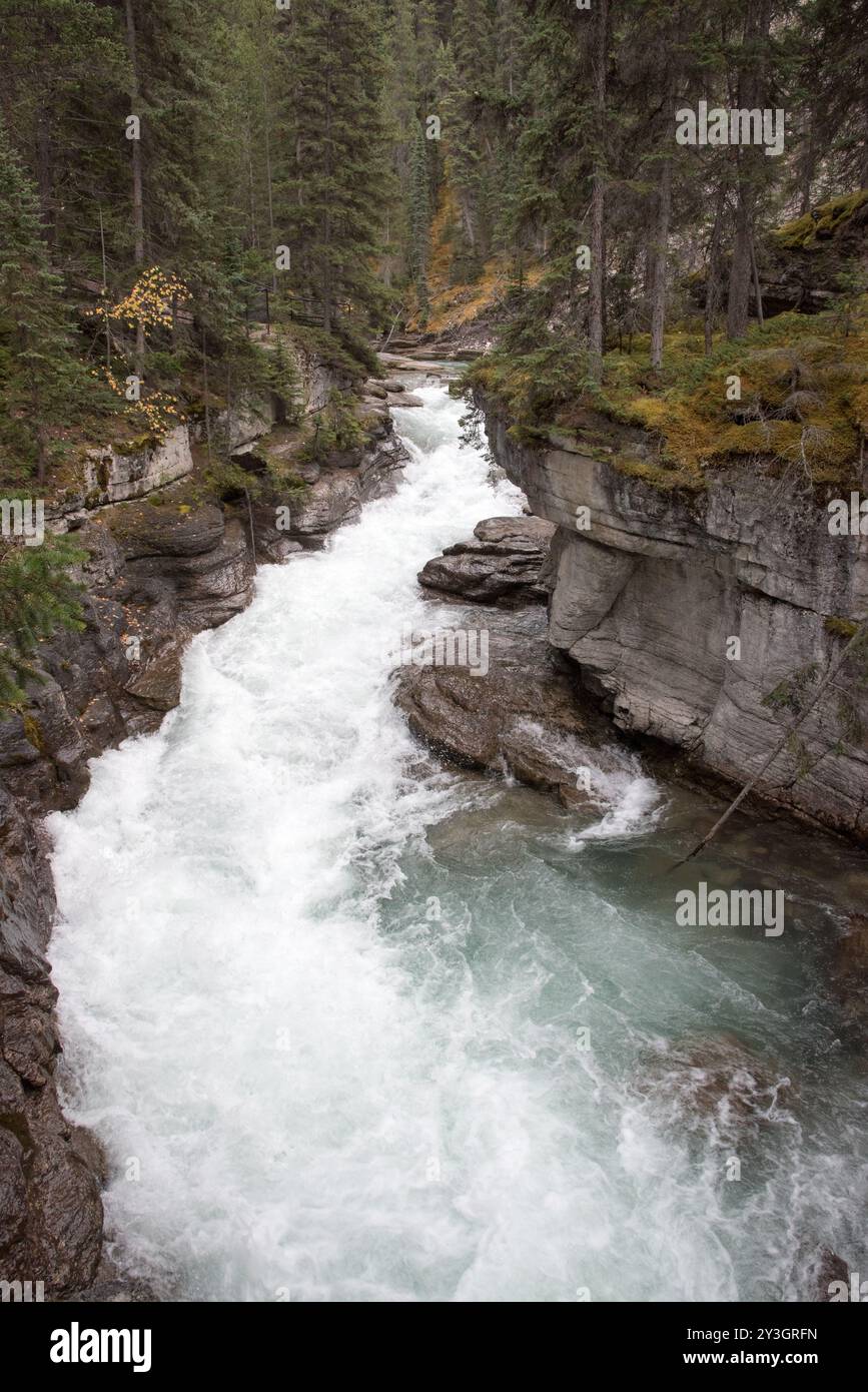 Maligne Canyon is a pitoresque gorge of the Maligne River in Jasper ...