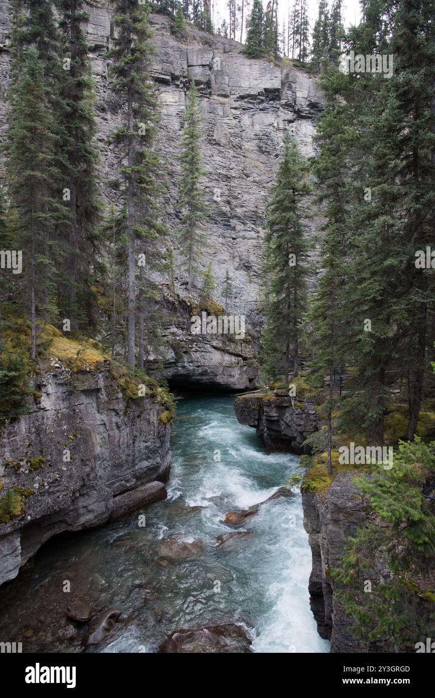 Maligne Canyon is a pitoresque gorge of the Maligne River in Jasper ...