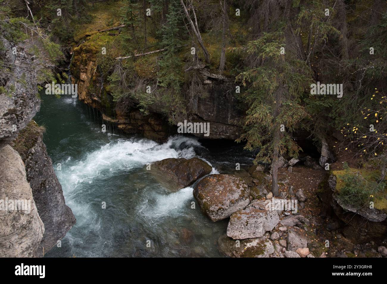 Maligne Canyon is a pitoresque gorge of the Maligne River in Jasper ...