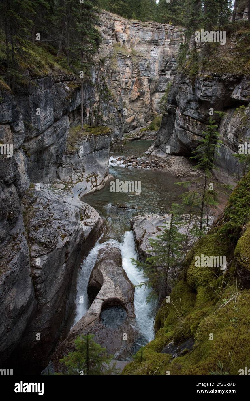 Maligne Canyon is a pitoresque gorge of the Maligne River in Jasper ...