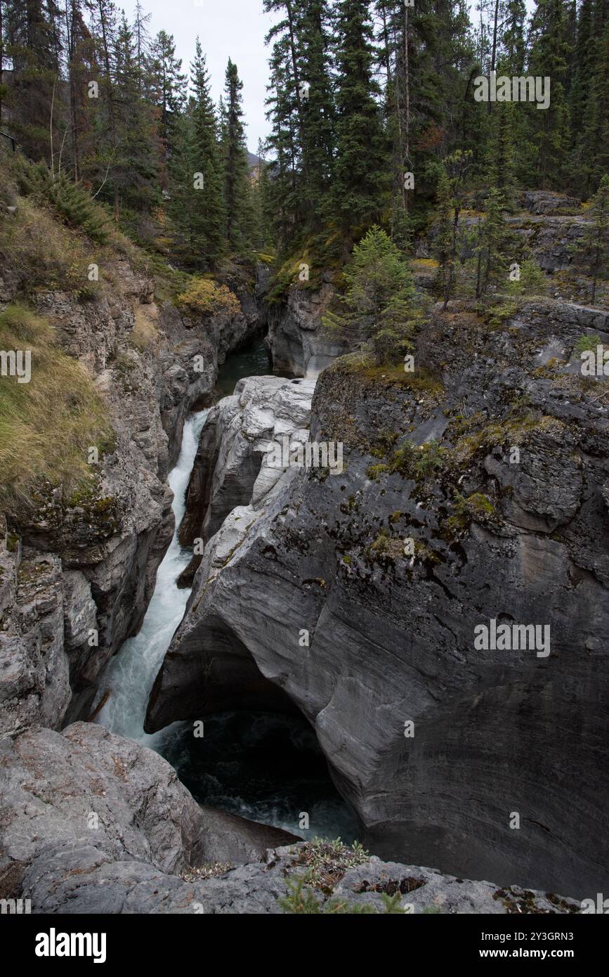 Maligne Canyon is a pitoresque gorge of the Maligne River in Jasper ...