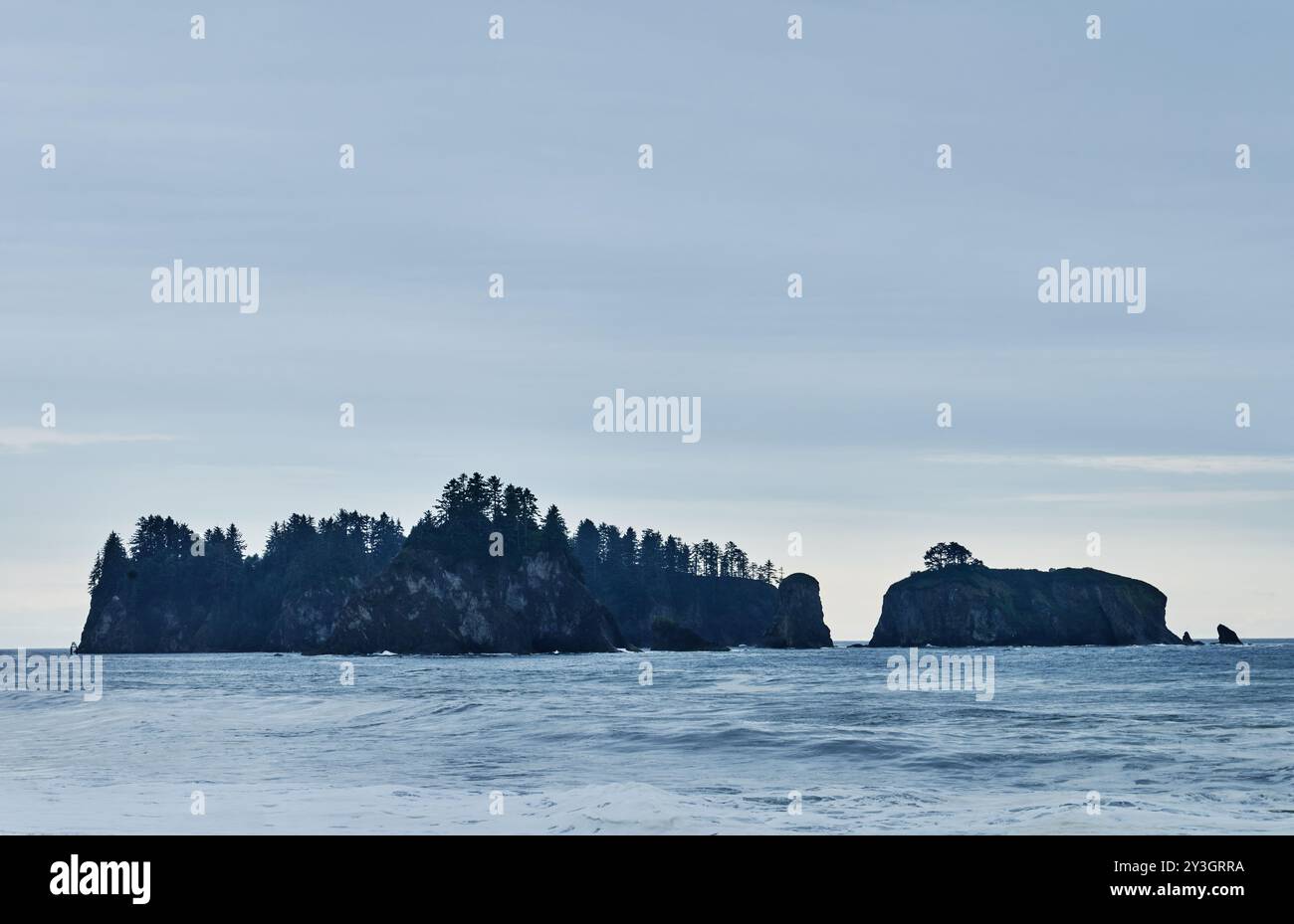 Landscape of La Push beach, Olympic National Park, Washington State ...