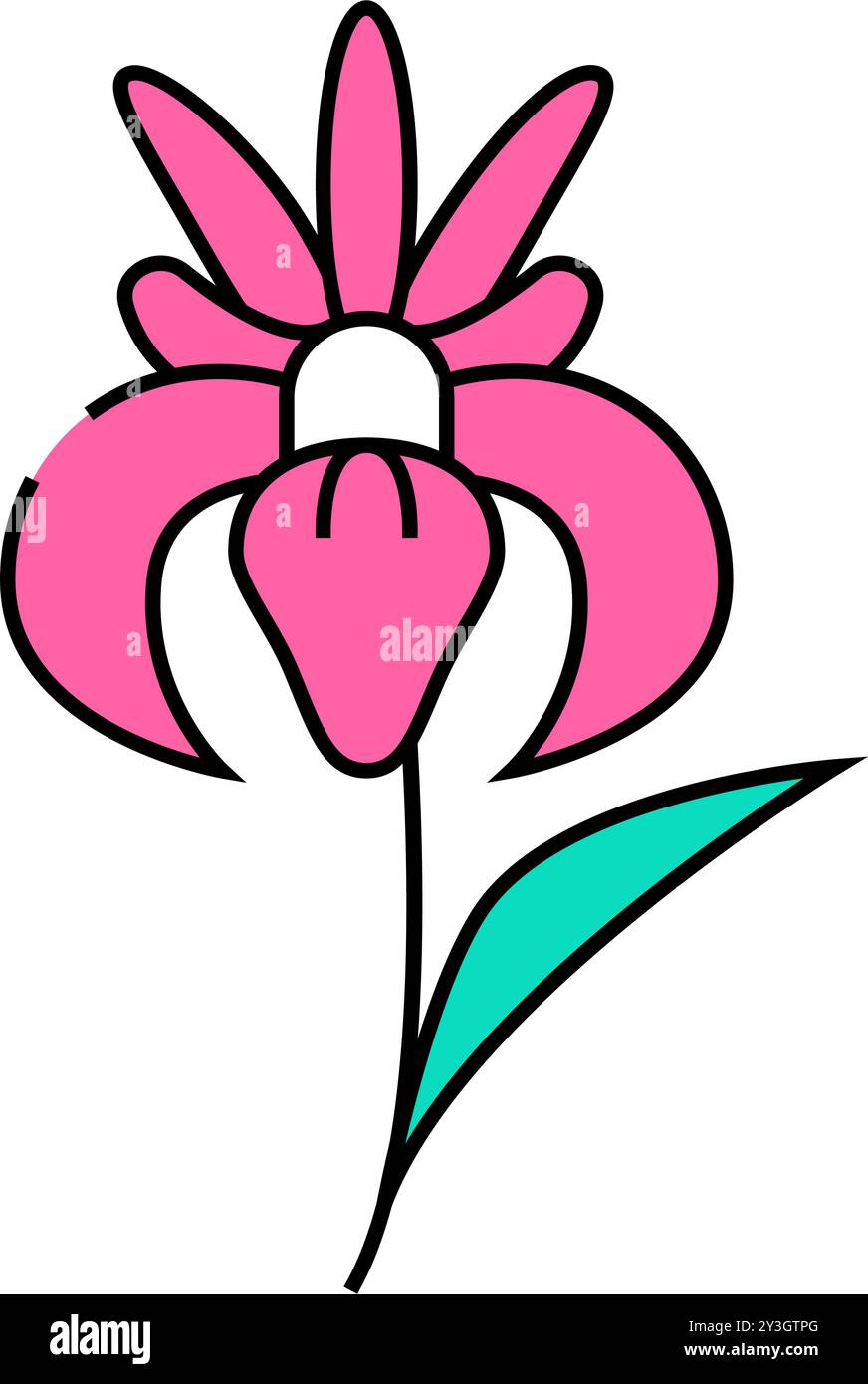 iris flower icon color illustration Stock Vector Image & Art - Alamy