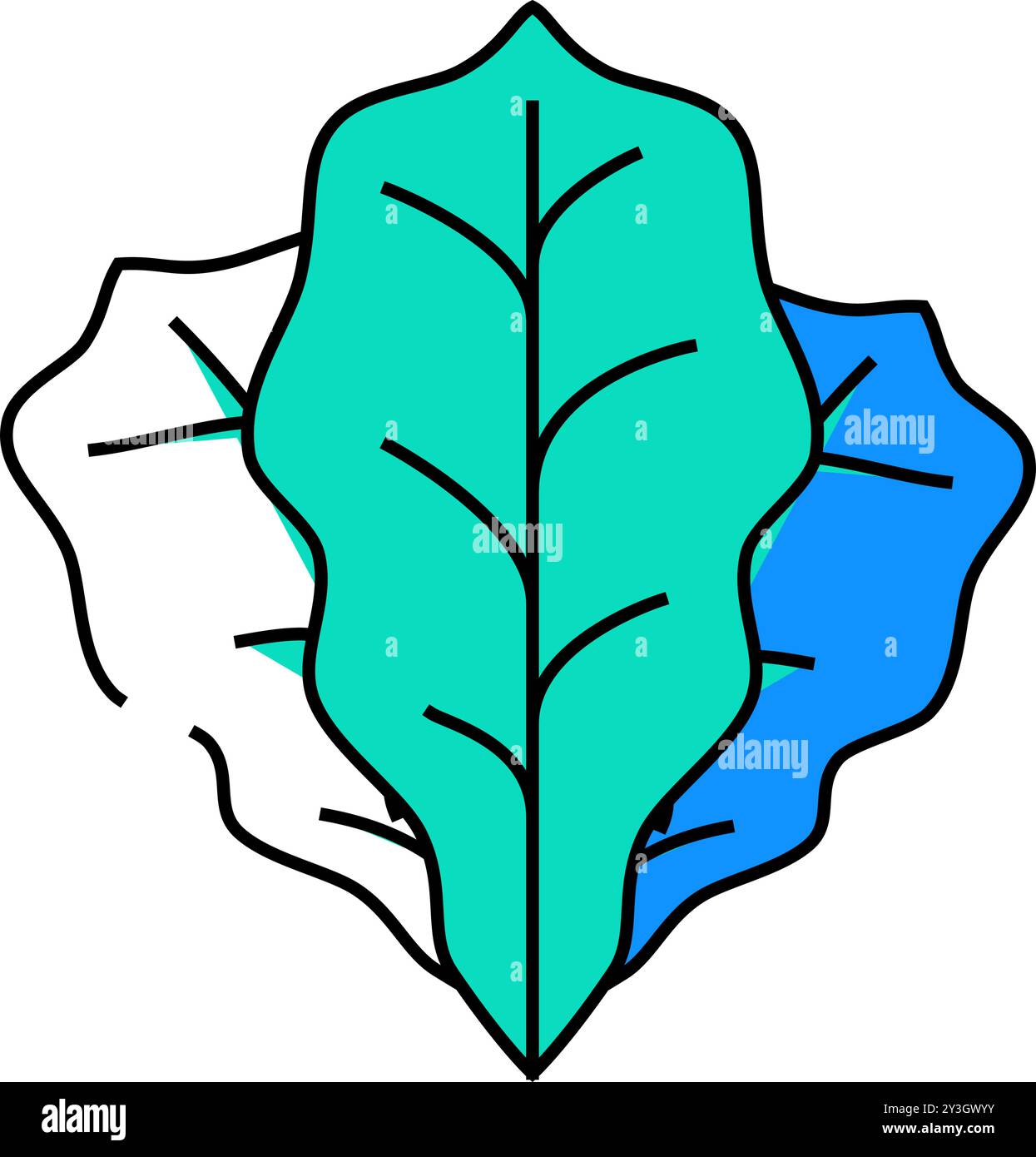 spinach leaves icon color illustration Stock Vector Image & Art - Alamy