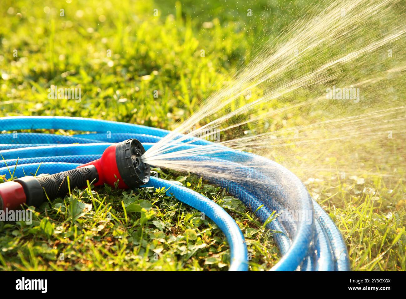 Water spraying from hose on green grass outdoors Stock Photo - Alamy
