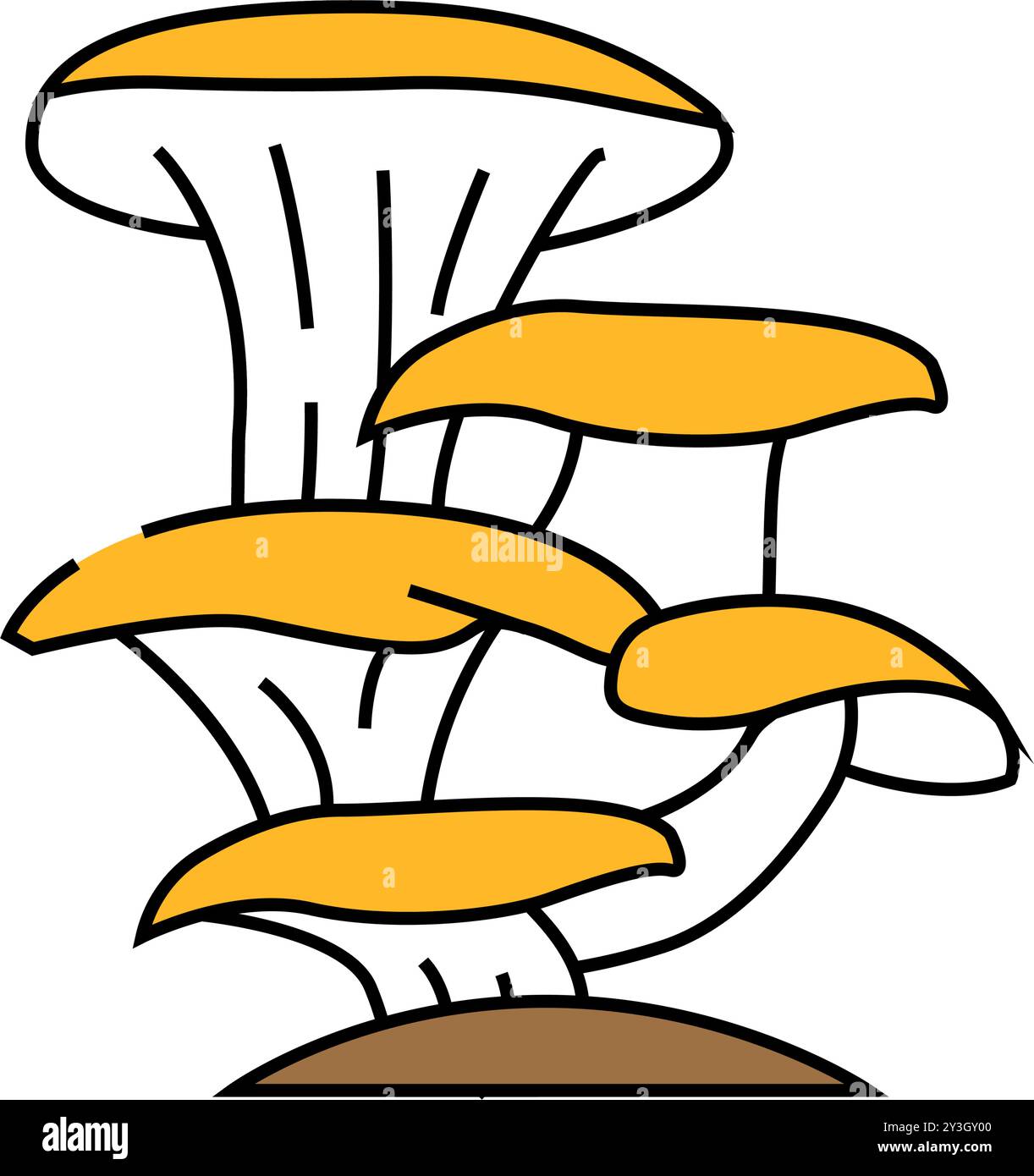 Oyster mushroom color icon Stock Vector Images - Alamy