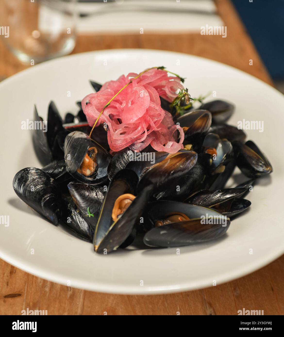 Gourmet portion of Galician mussels in a European seafood restaurant ...