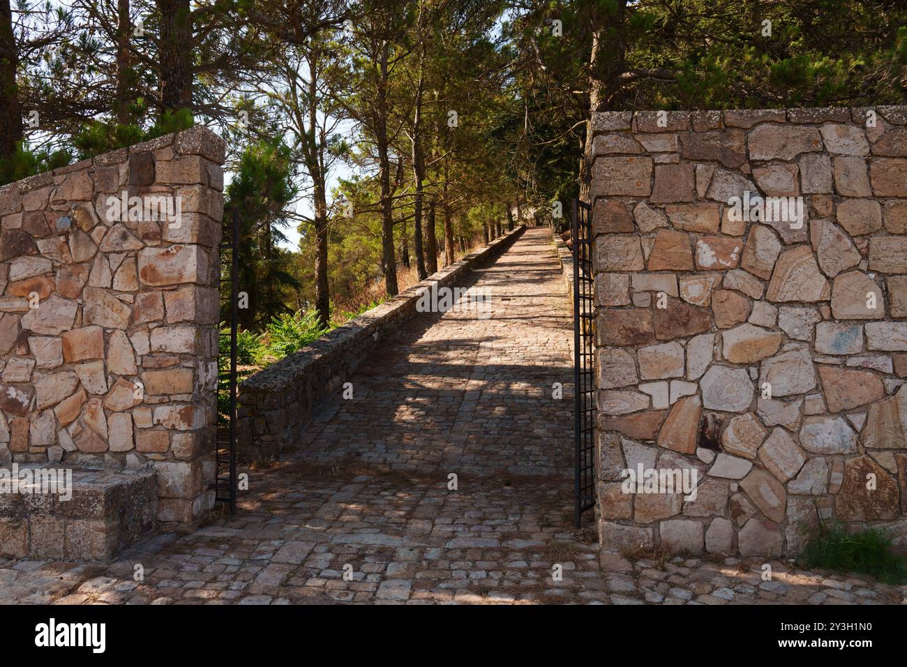 Stone Pathway with Gate Leading Through a Tree-Lined Corridor Stock ...