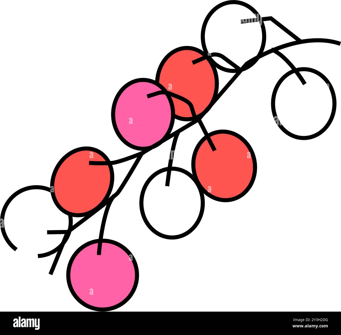 cherry tomato icon color illustration Stock Vector Image & Art - Alamy