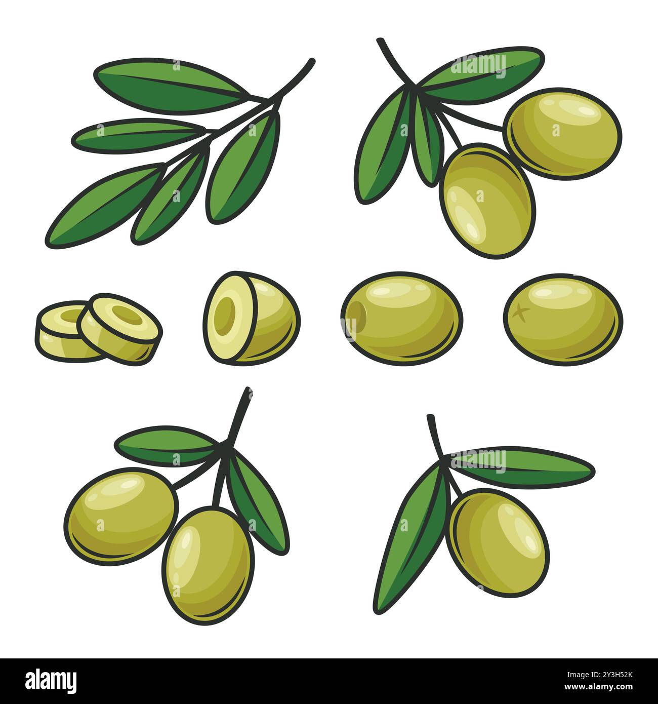 Flat Vector Green Olives and Branch Outline Set. Hand-Drawn Olive Tree ...