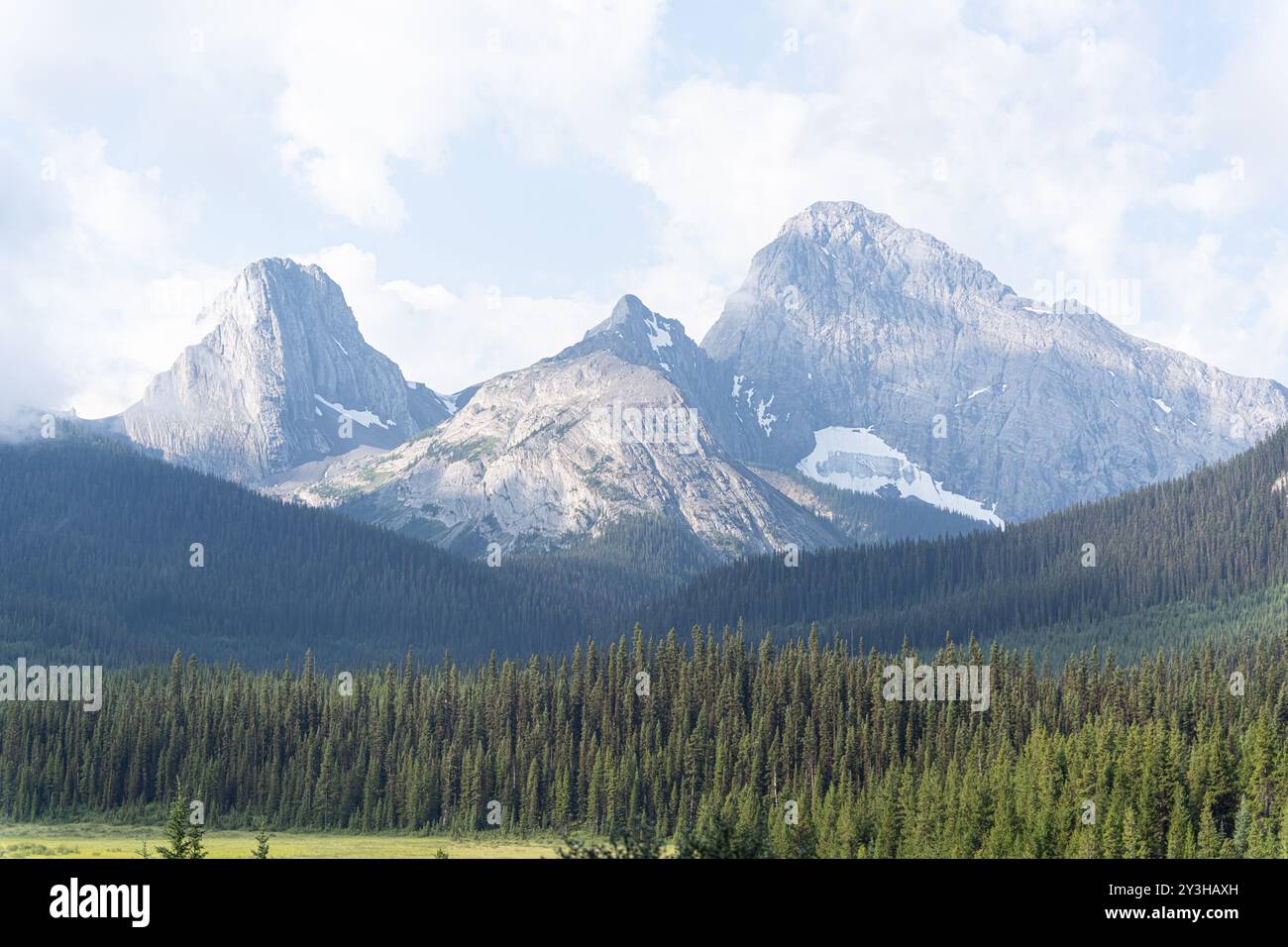 outdoor nature landscape with mountains and clouds and forest Stock ...
