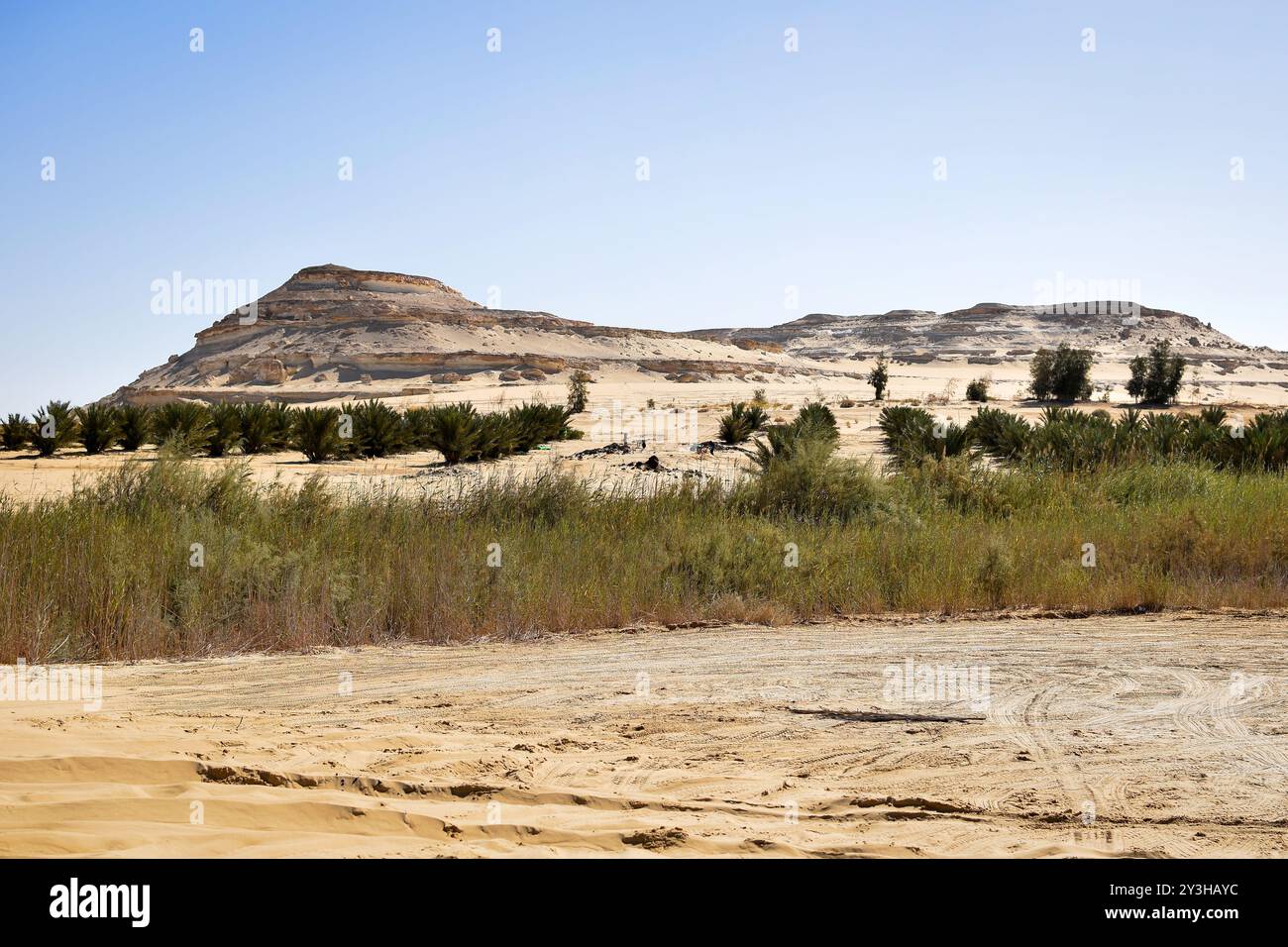 scenery of stone hills and small date orchards in the middle of the ...