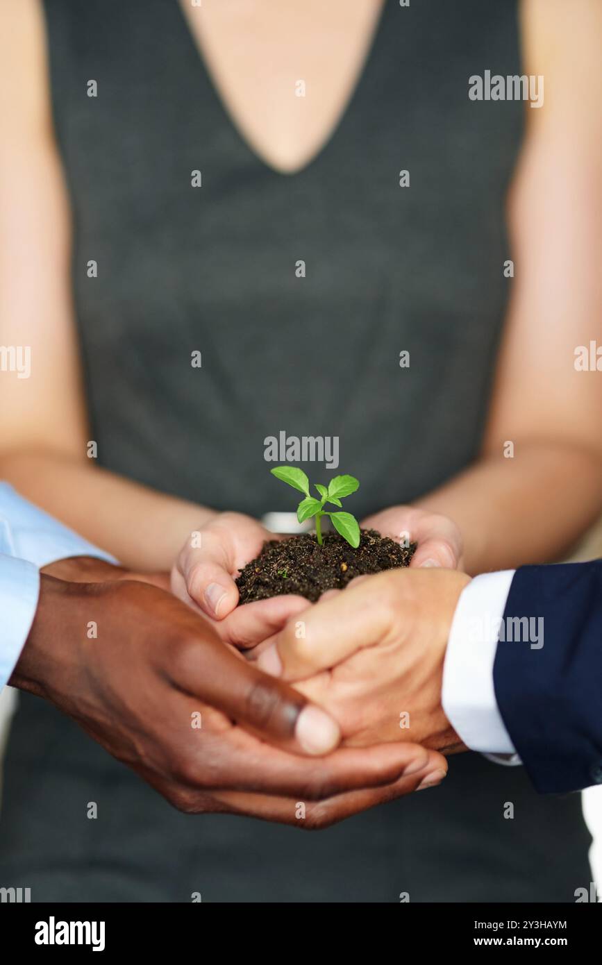 Plant, teamwork and hands of business people with soil for ...