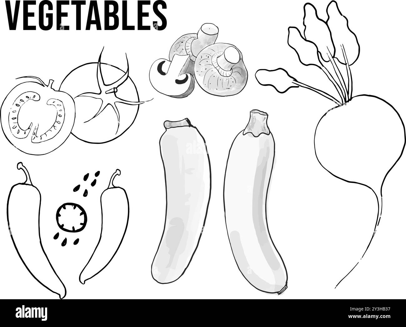 hand drawn illustration of vegetables, doodles of vegetables, set of ...