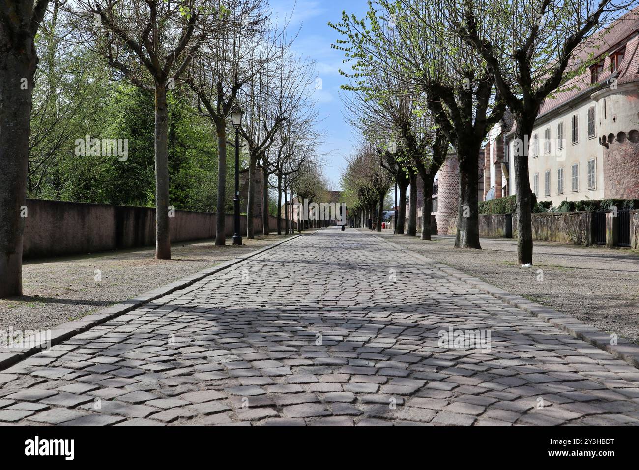 Old town of Obernai in France Stock Photo - Alamy