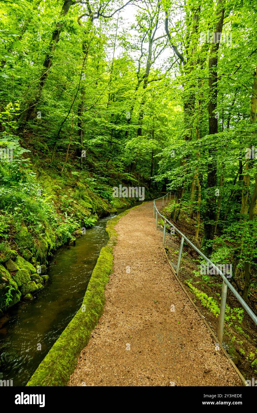A springtime hike around the tourist attraction in Brotterode-Trusetal ...
