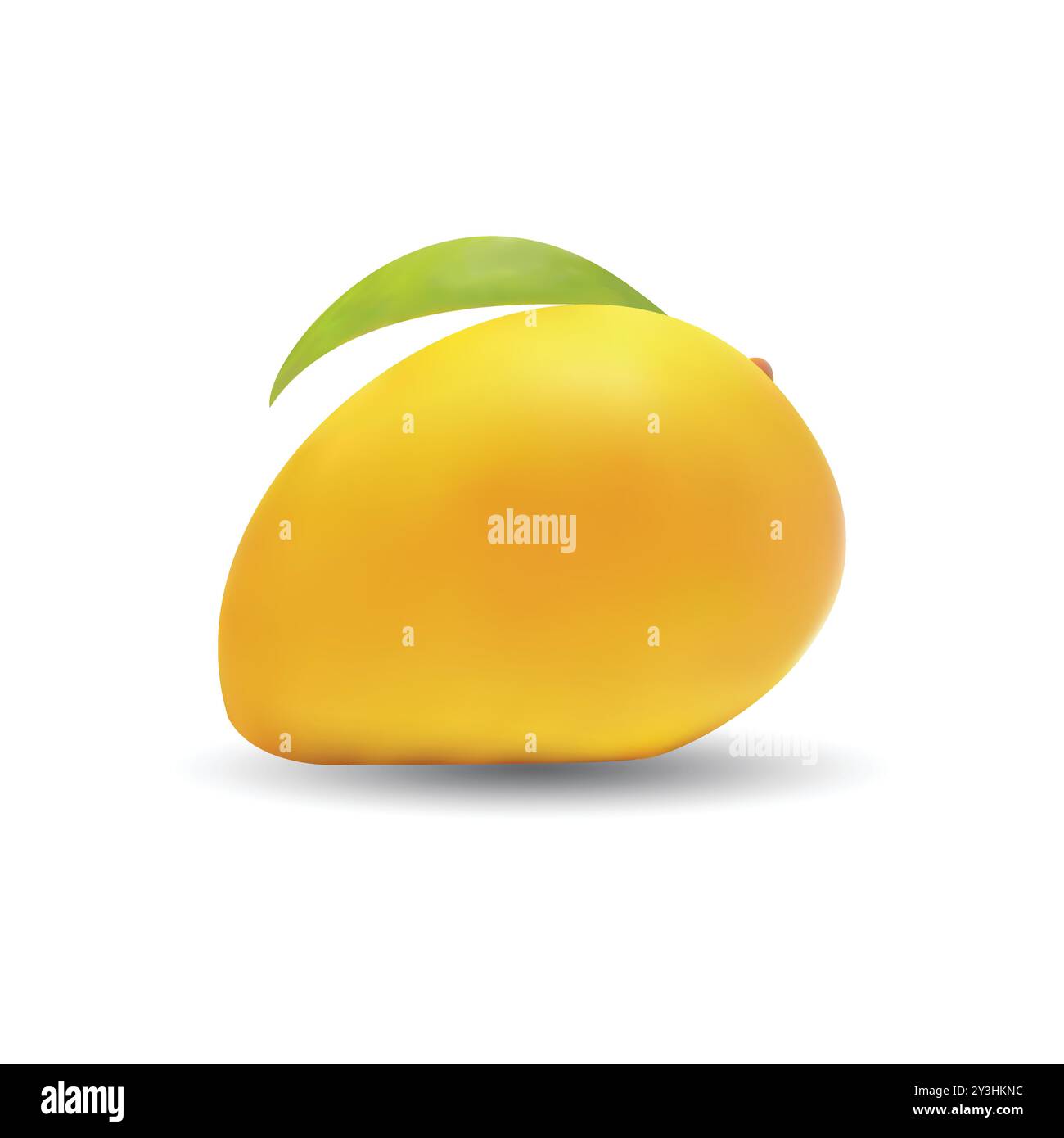 Mango vector pattern hi-res stock photography and images - Alamy