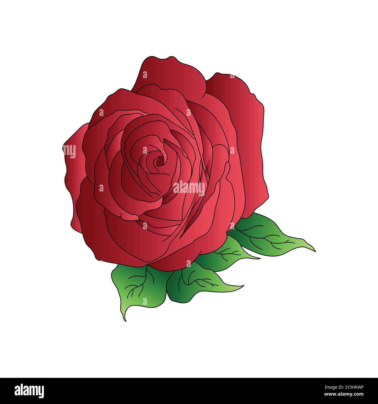 Red Rose with Green Leaves Vector Illustration Stock Vector Image & Art ...