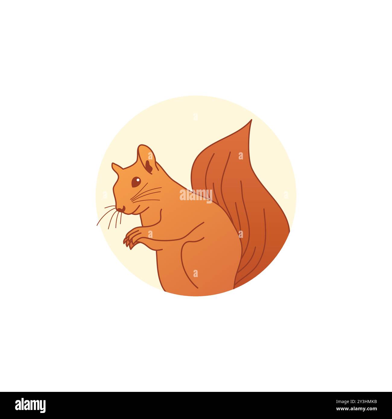 Squirrel in Circle Vector Illustration Stock Vector Image & Art - Alamy