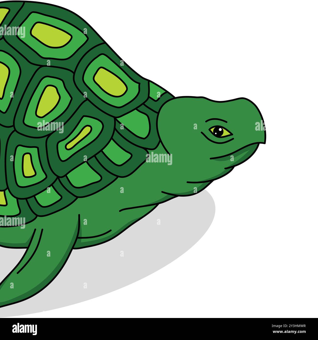 Pet Turtle Clipart