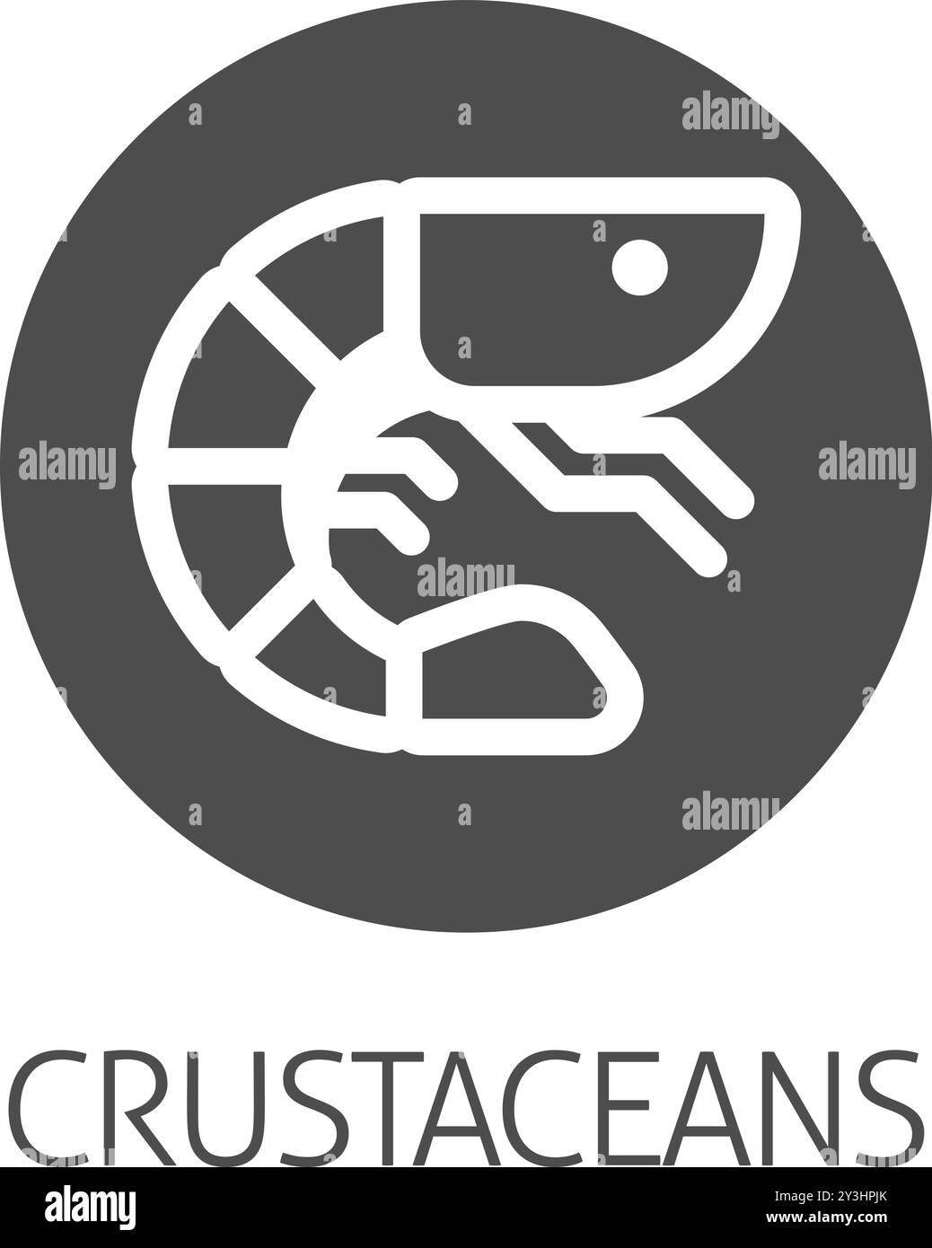 Prawn Shrimp Crustacean Food Allergen Allergy Icon Stock Vector Image ...
