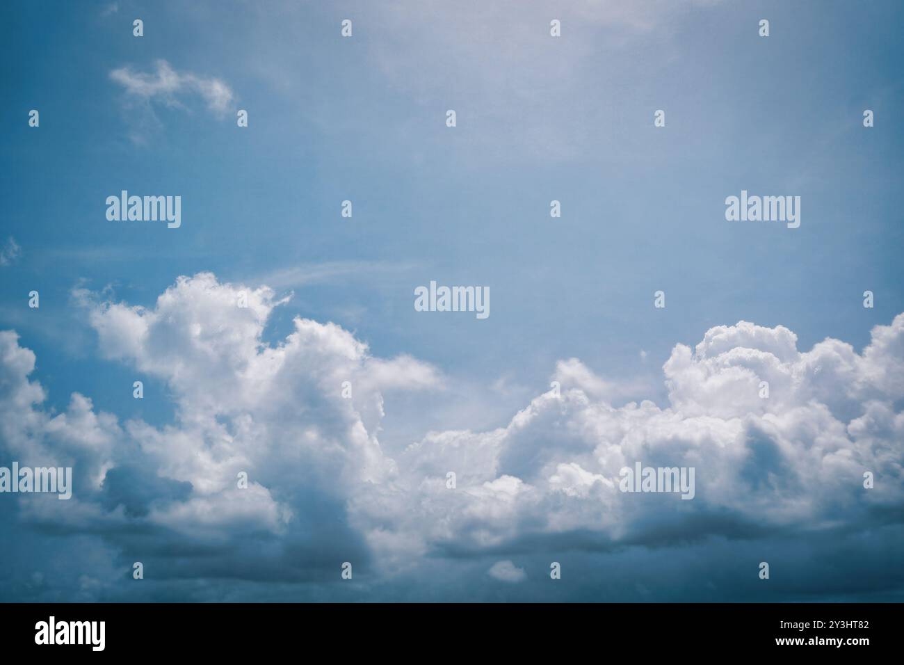Discover the tranquility captured in this stock image, where soft ...