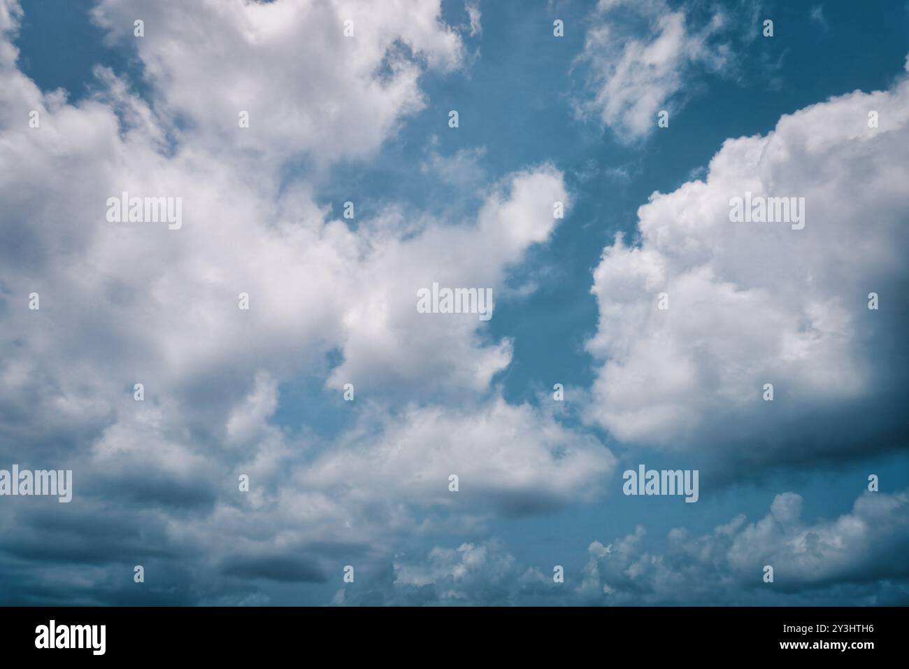 Find freedom in vast hi-res stock photography and images - Alamy