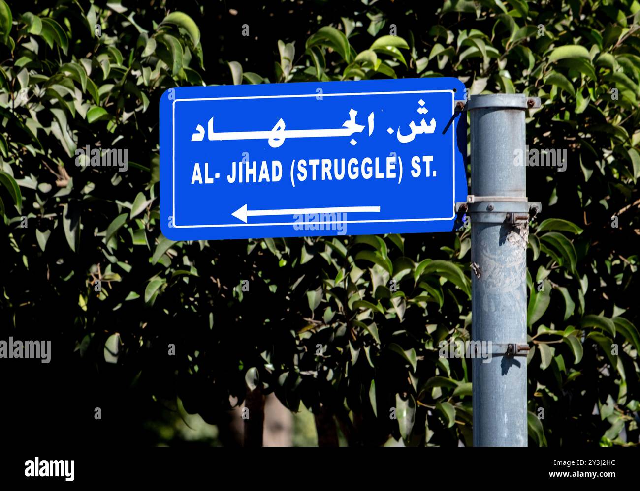 Street sign in Arabic and English in downtown Ramallah for Al Jihad (Struggle) Street Stock ...