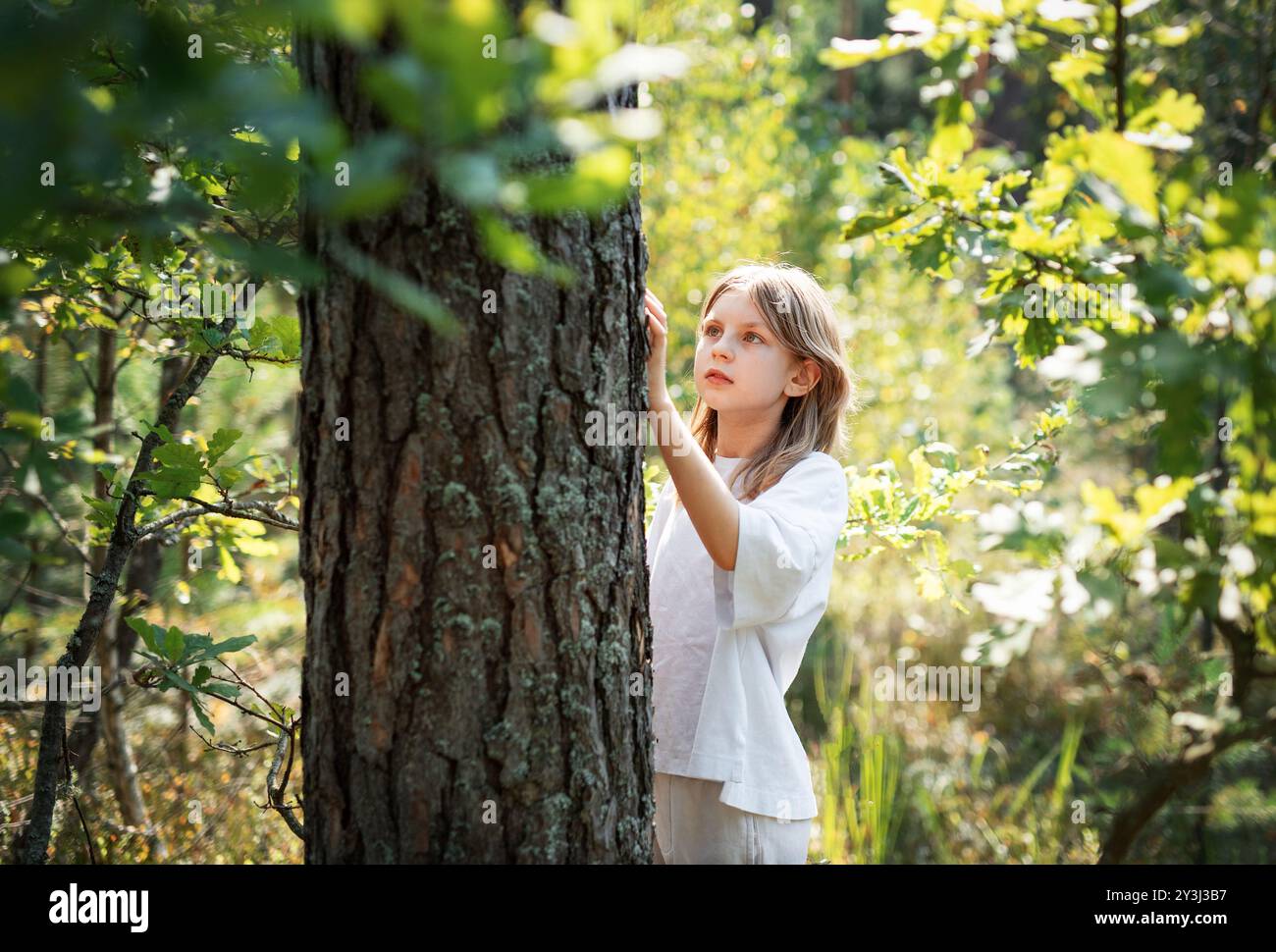 A teenage girl hugs a tree in the forest. Hugging and touching trees to ...