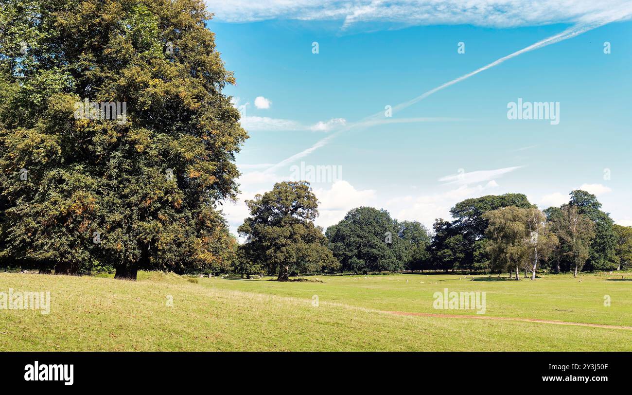 Castle and deer park hi-res stock photography and images - Alamy