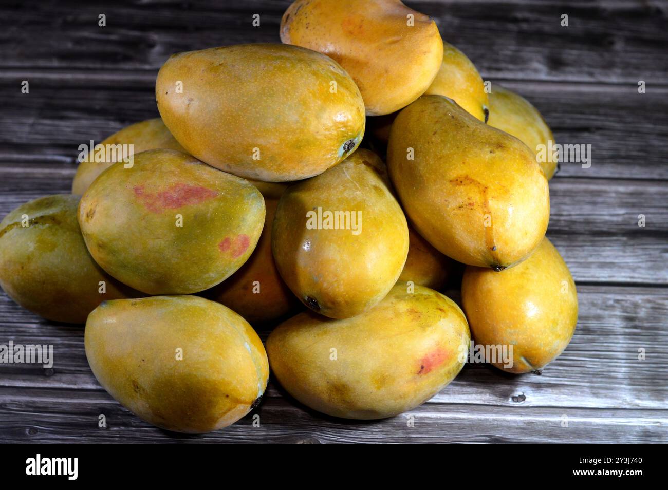 Pile of Egyptian fresh mango fruit with tropical delicacy, mangoes are ...