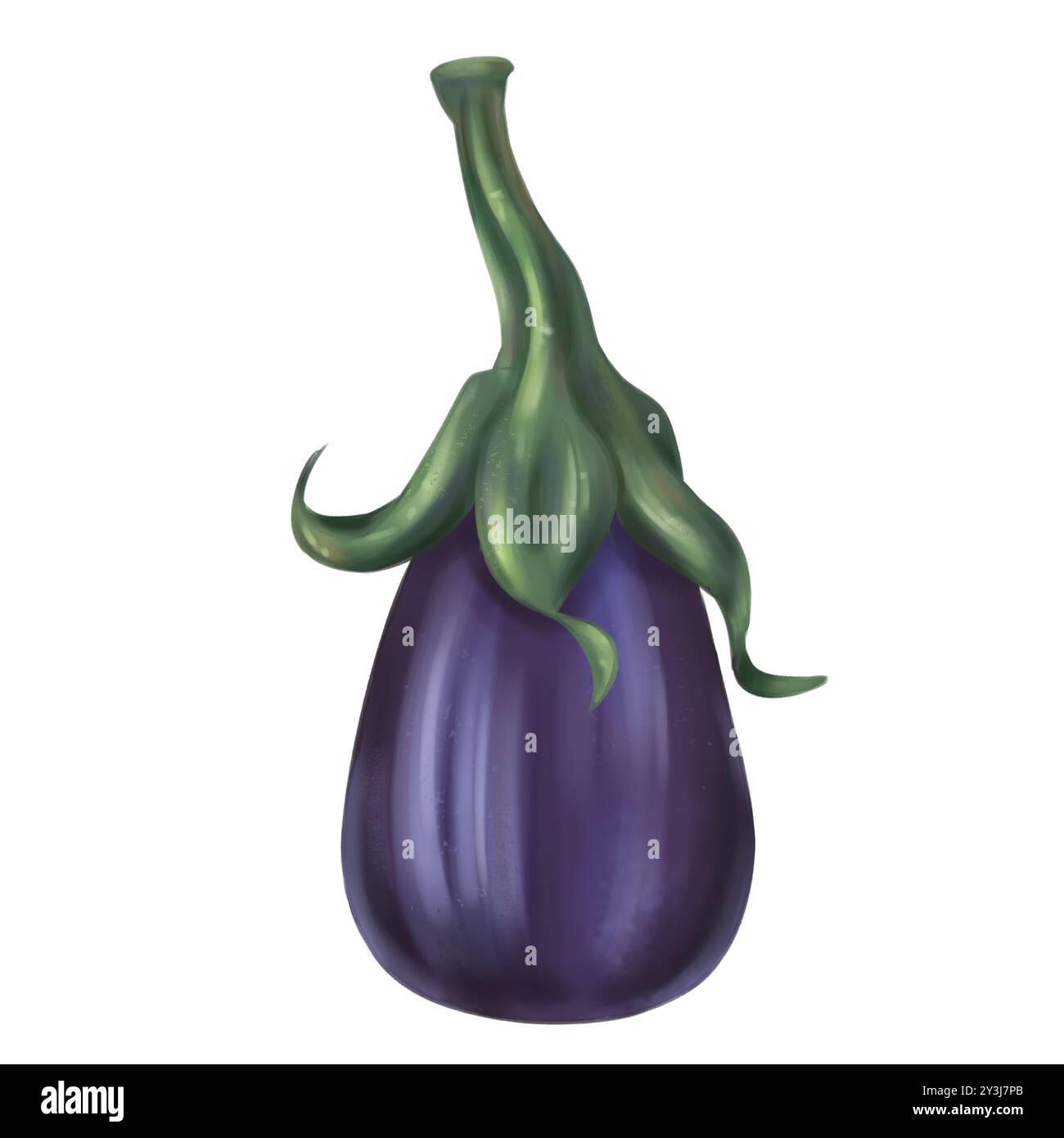Autumn harvest of purple eggplant. Fresh farm vegetables, healthy food ...