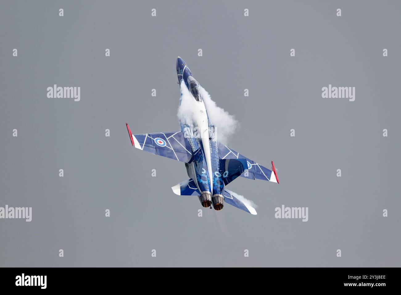 Royal Canadian Air Force CF-188 Hornet 774 of 425 Tactical Fighter ...