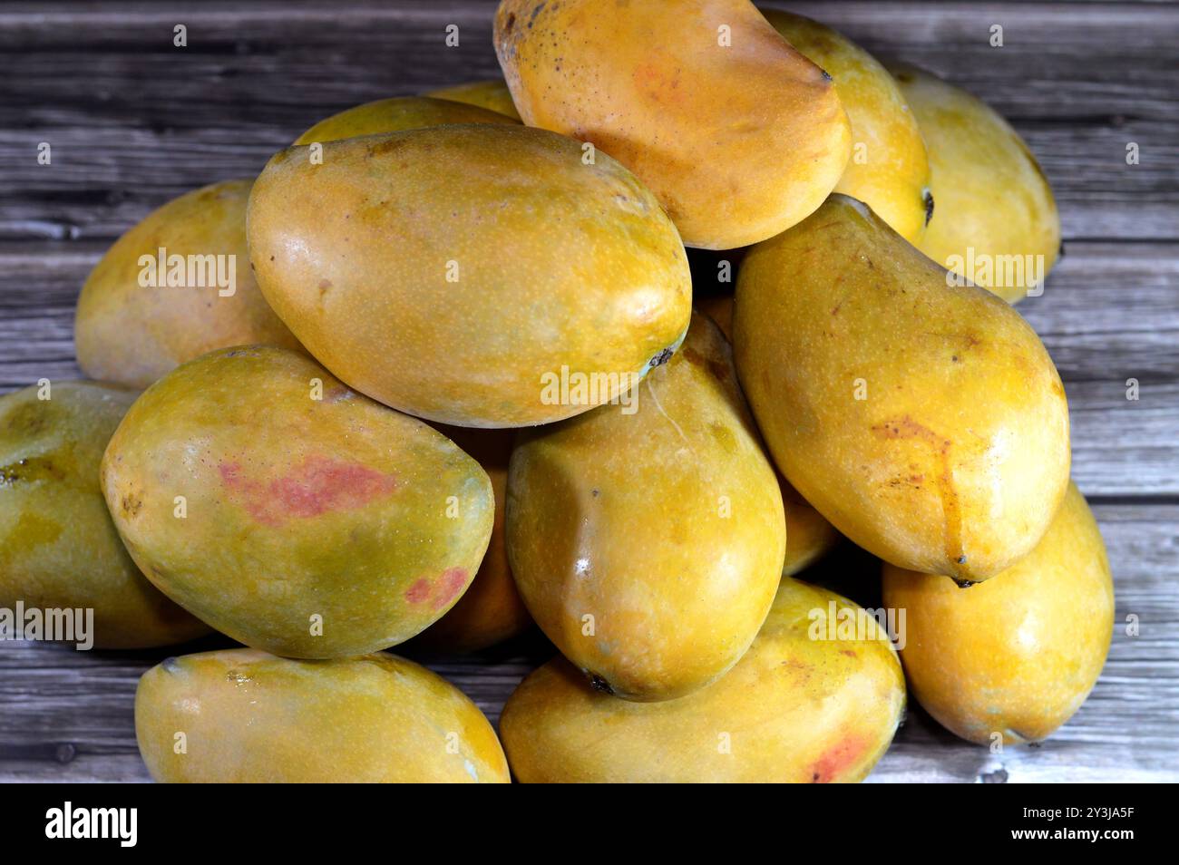 Pile of Egyptian fresh mango fruit with tropical delicacy, mangoes are ...