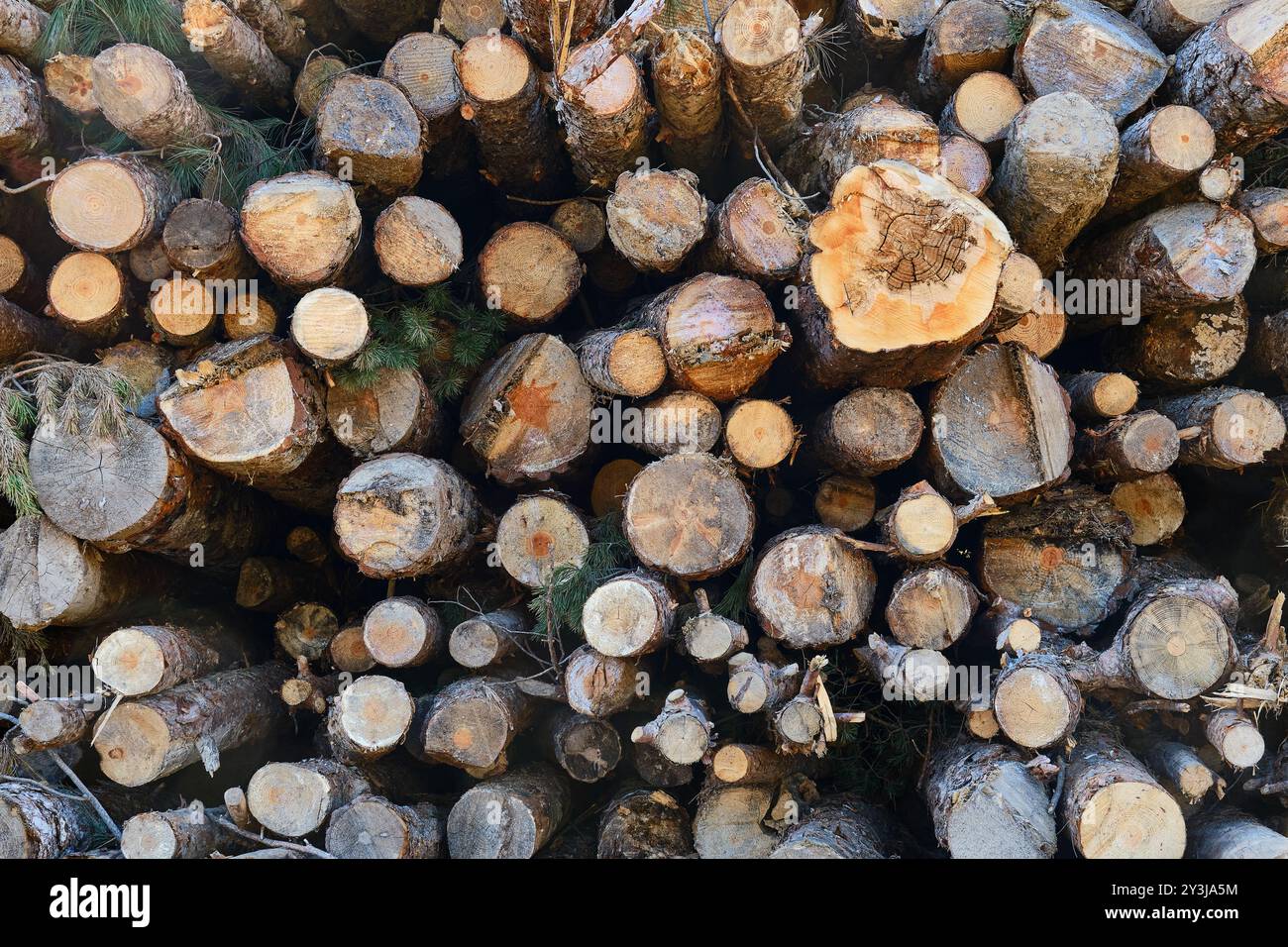 Natural wooden background,closeup of chopped firewood. Firewood stacked ...