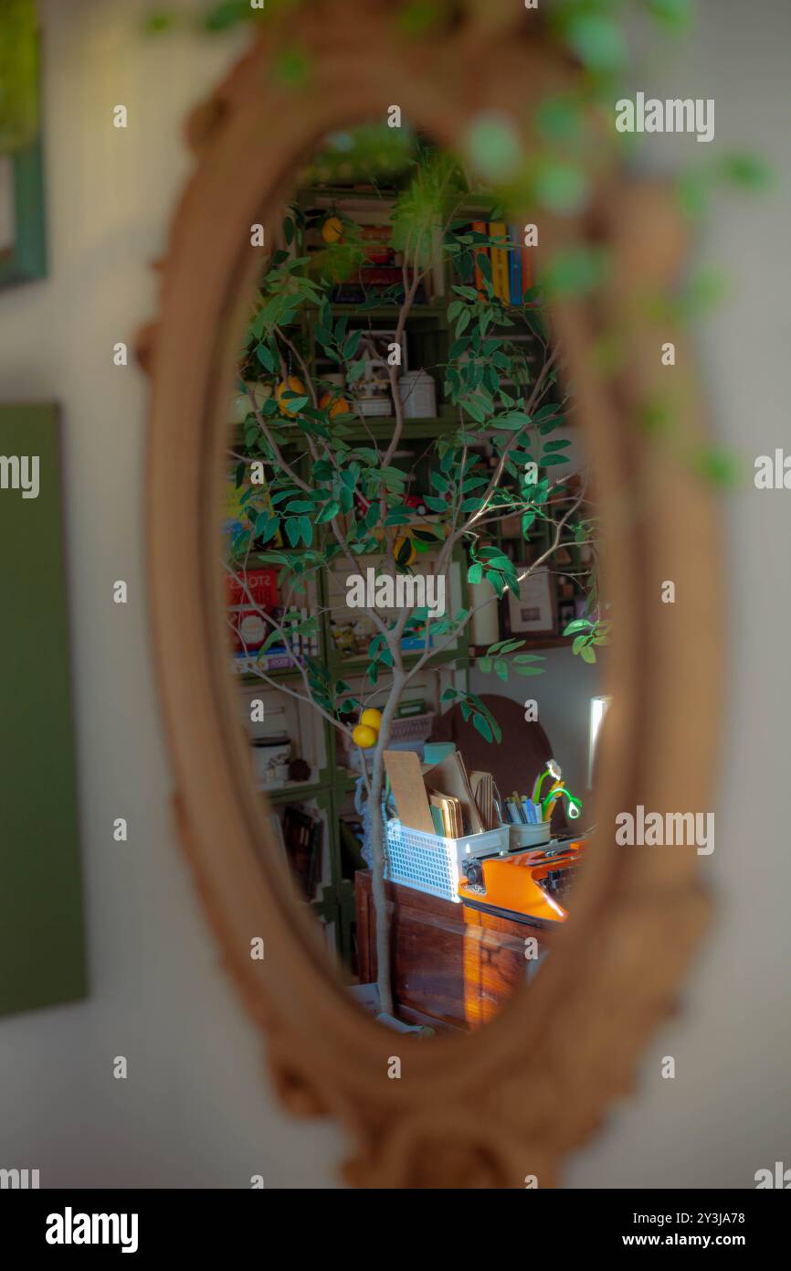 Little tree library hi-res stock photography and images - Alamy