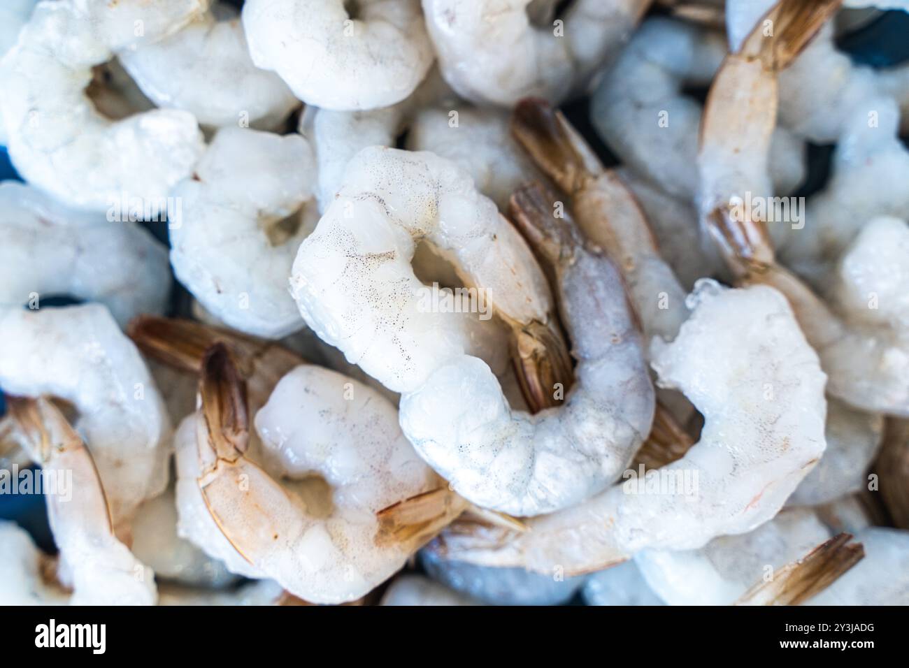 Frozen, raw shrimp. Texture: King Prawns background. Seafood on the ...