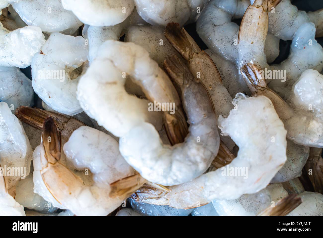 Frozen, raw shrimp. Texture: King Prawns background. Seafood on the ...