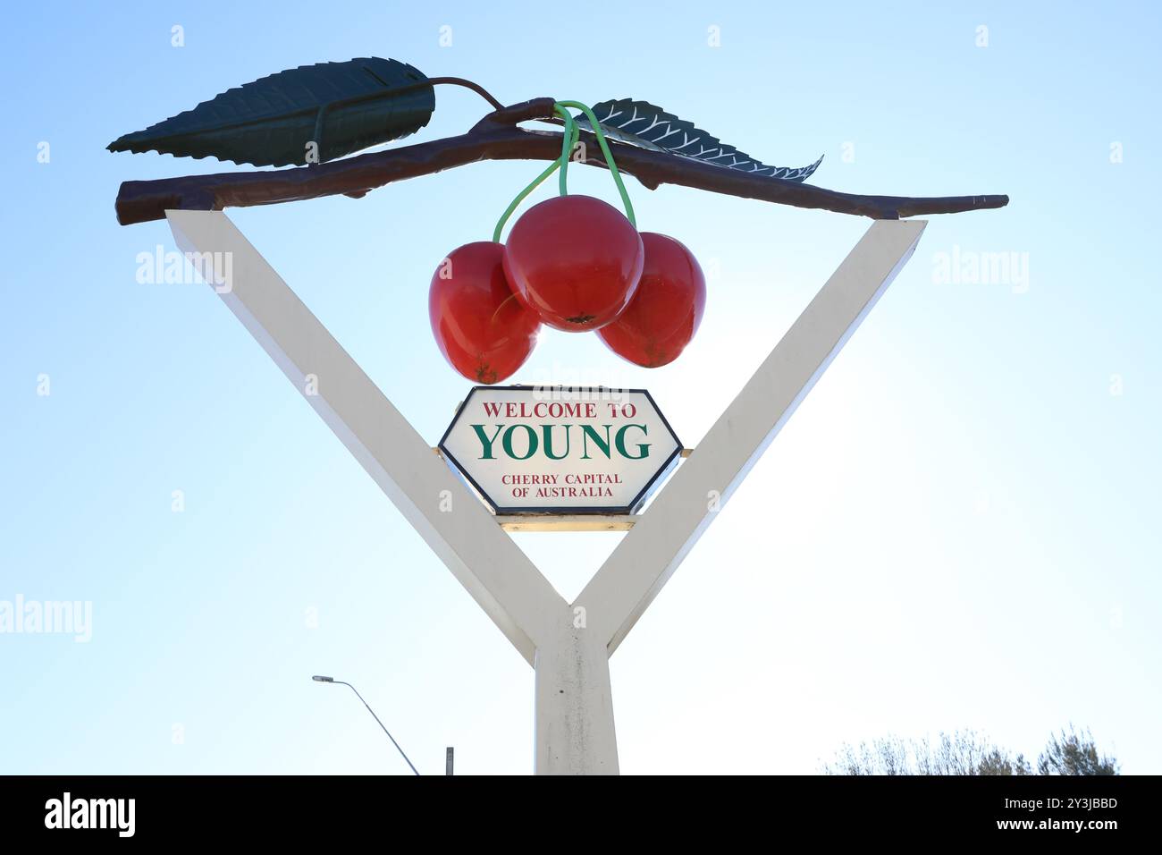 The Big Cherries, Young, NSW, Australia Stock Photo - Alamy