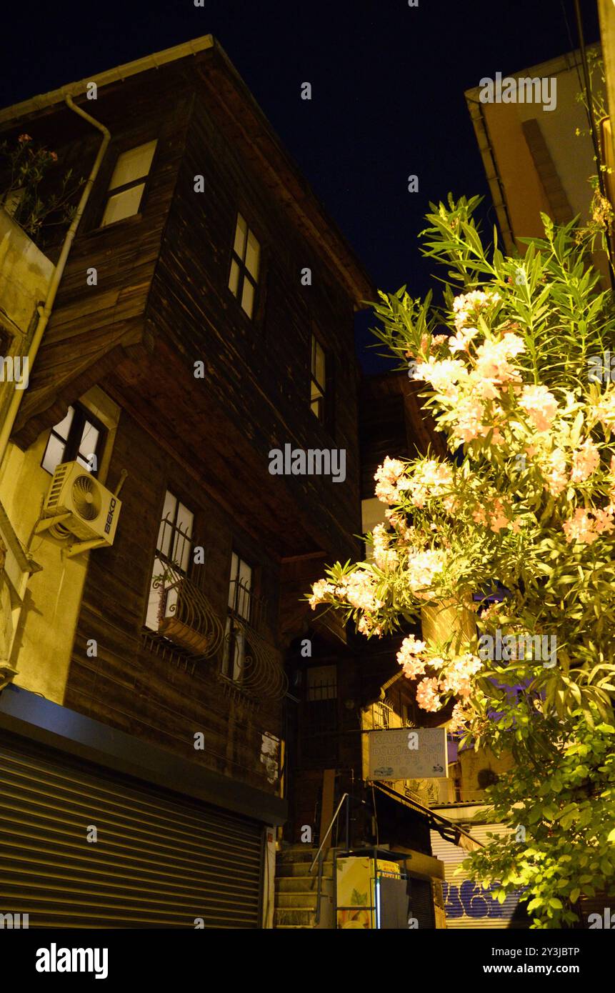 Arap, Mosque, Istanbul, Turkey, Europe-Asia Stock Photo - Alamy