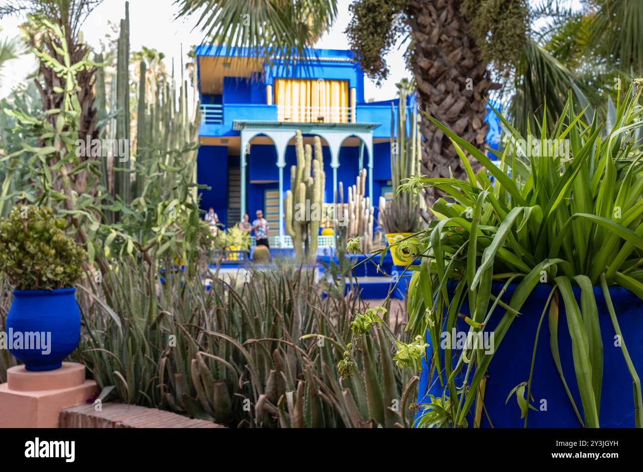 Jardins Majorelle, Marrakesh, Morocco Stock Photo - Alamy