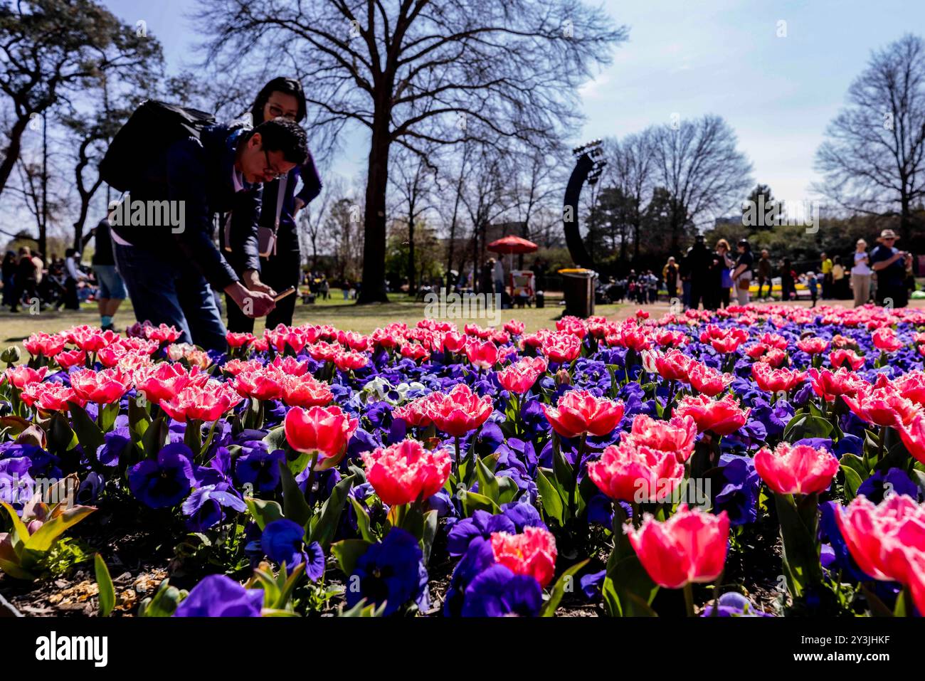 Canberra. 14th Sep, 2024. This photo taken on Sept. 14, 2024 shows a ...