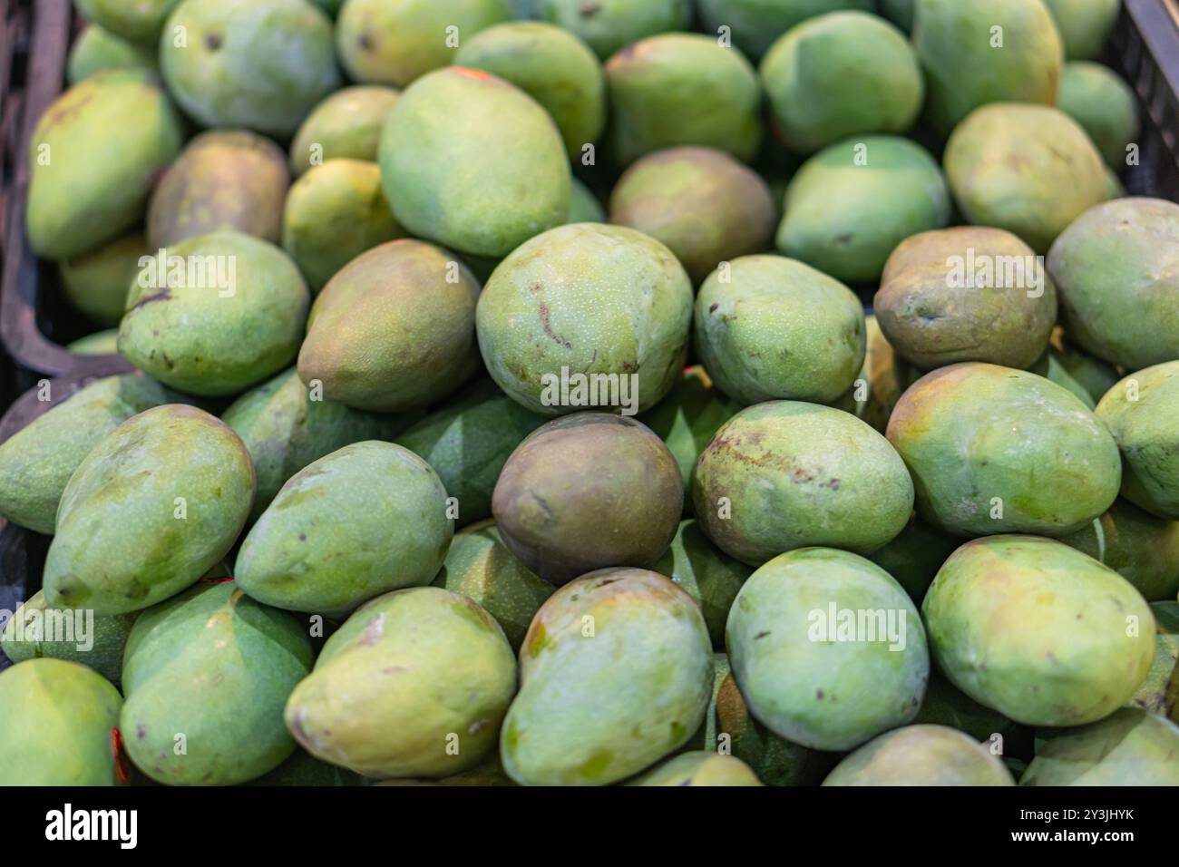 A close-up view of a pile of green mangoes, showcasing their smooth ...