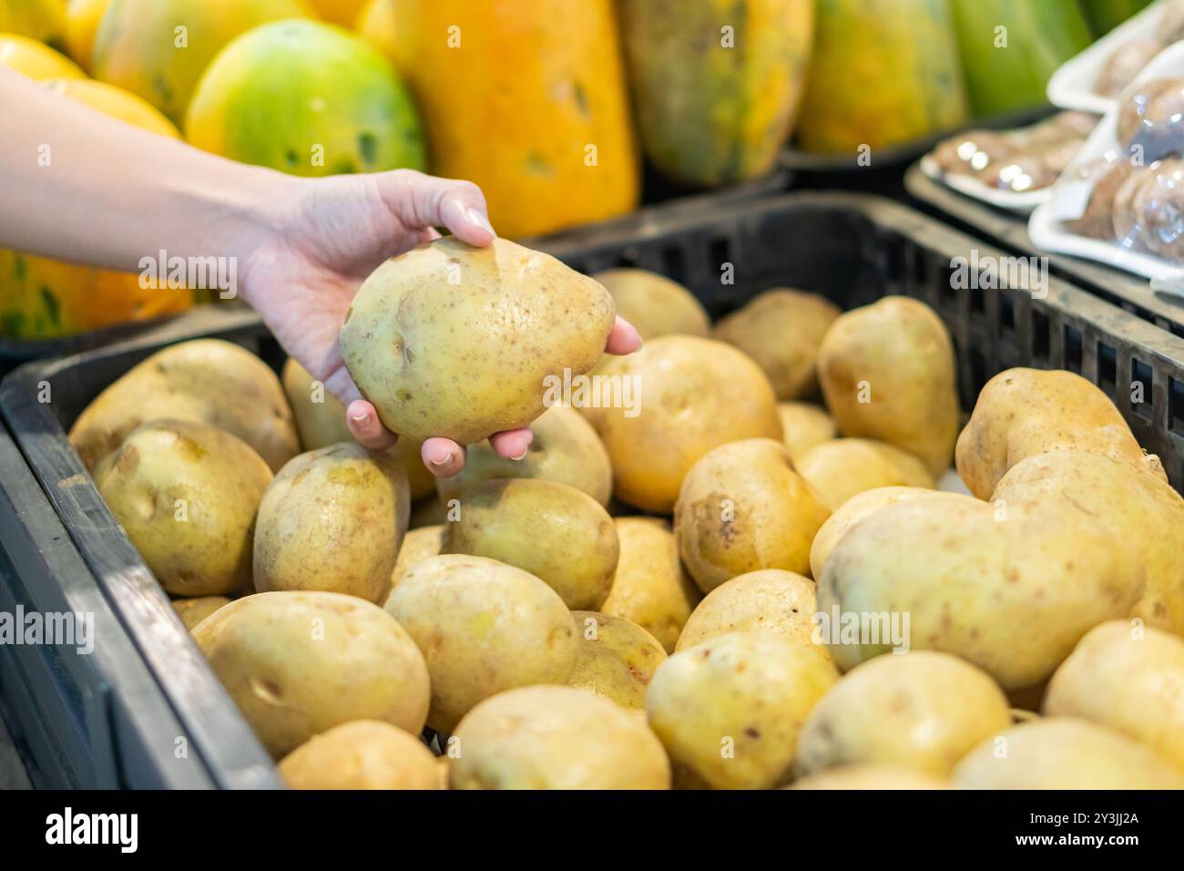 A hand selecting a potato from a basket filled with many potatoes in a ...