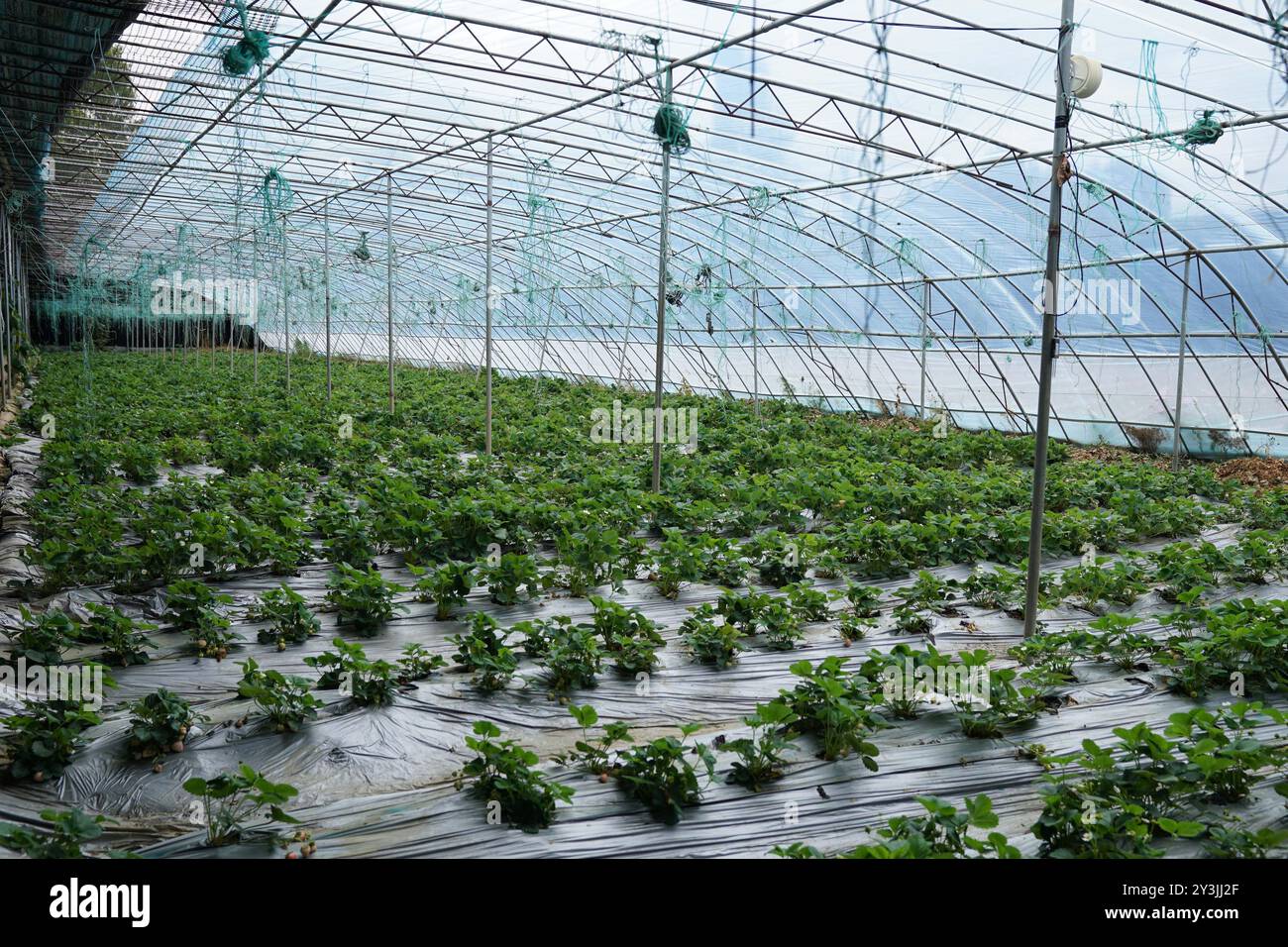 (240914) -- LITANG, Sept. 14, 2024 (Xinhua) -- This photo taken on Sept ...