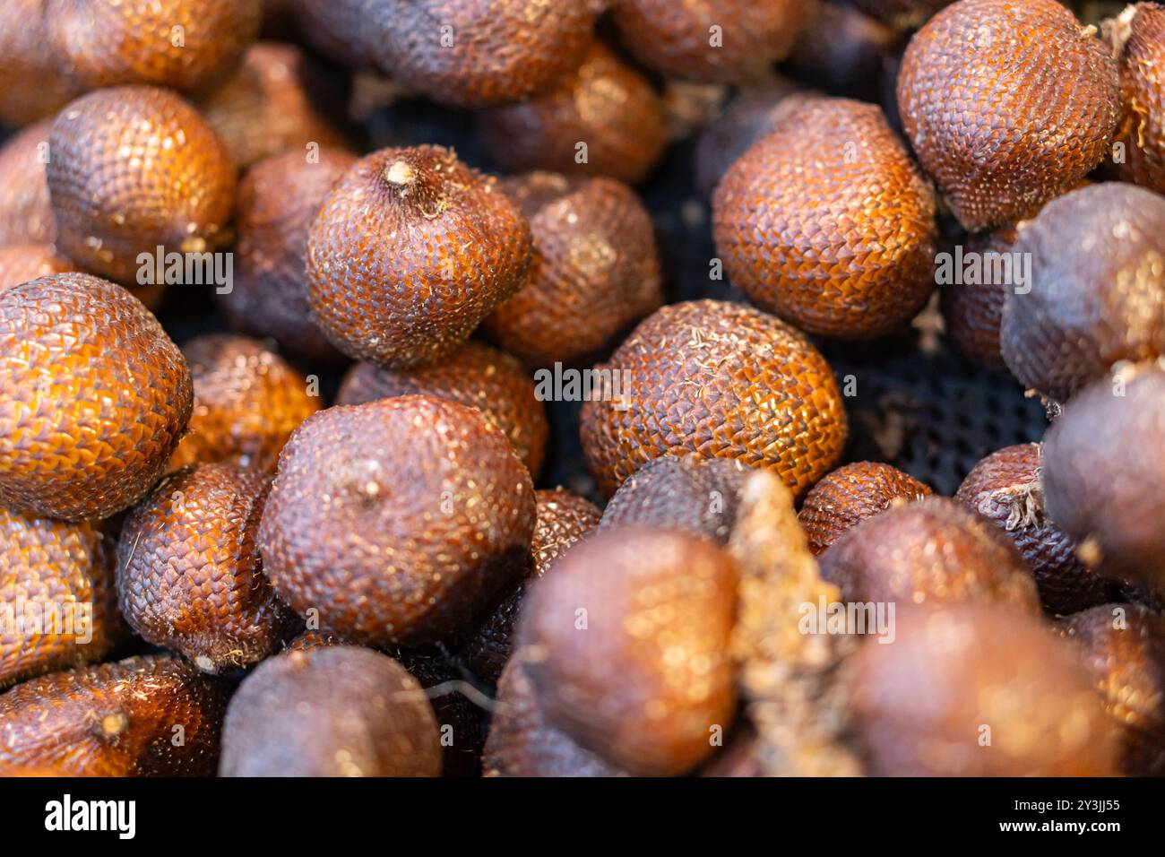 A close-up view of a pile of brown, scaly fruits with a textured ...