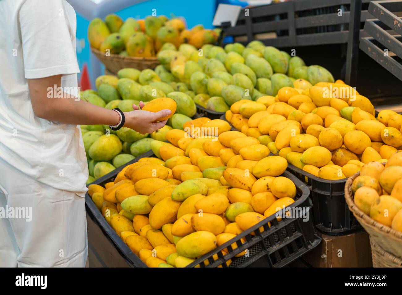 A person selecting ripe mangoes from a vibrant display in a grocery ...