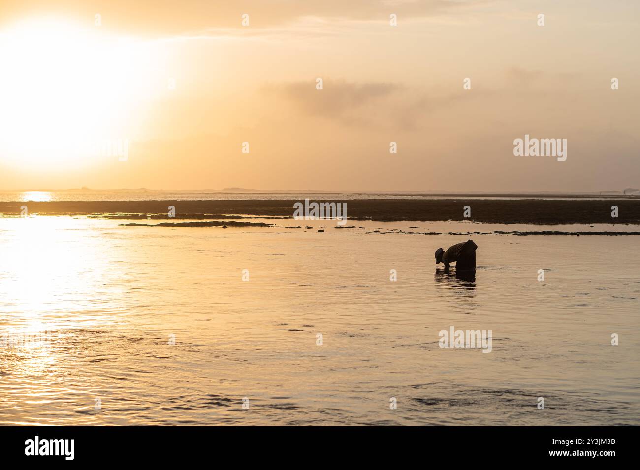 A person wading in shallow water during sunset, with a golden glow ...